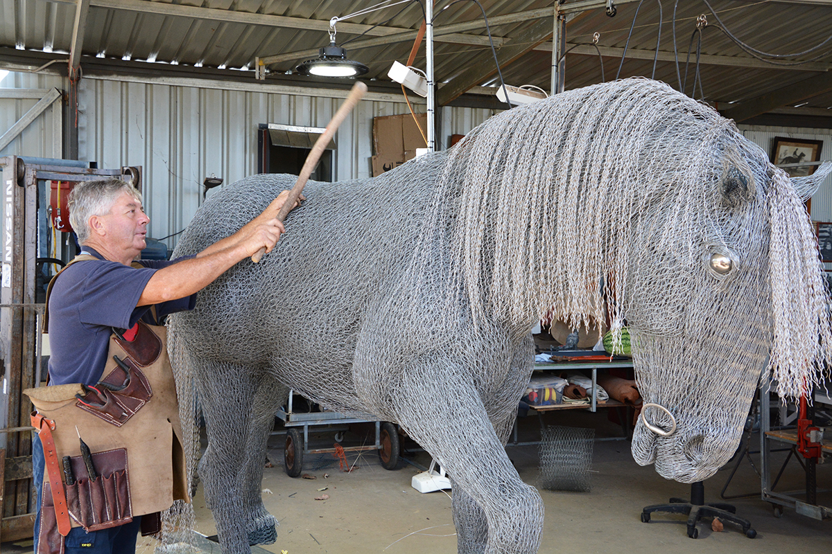 ‘Clyde’ to appear at Country Championships | The Coonamble Times