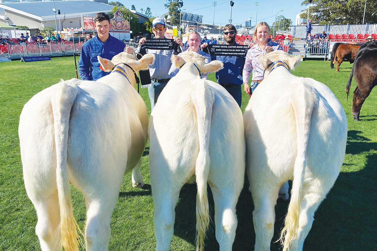 Coonamble stud scoops the pool at Sydney Royal | The Coonamble Times