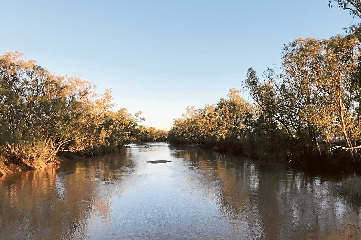 Farming and conservation sectors unite over coronavirus stimulus ...