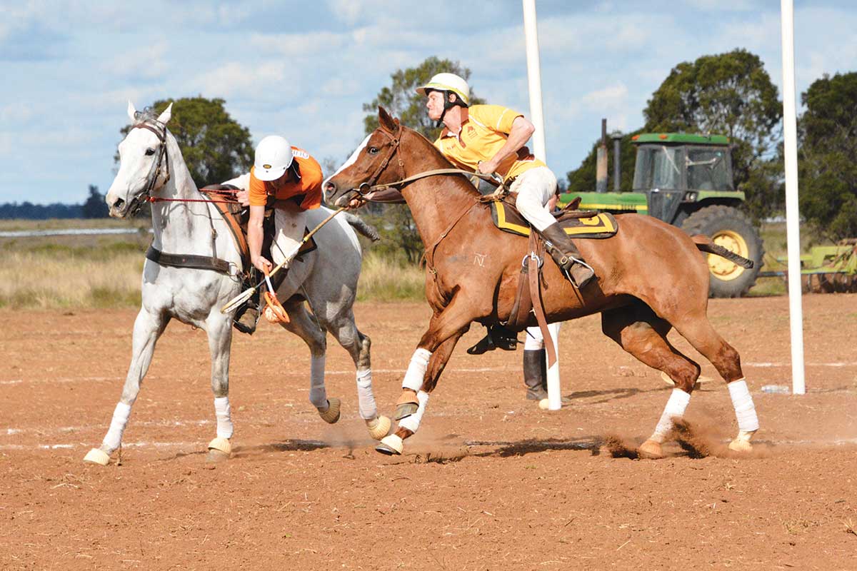 Quambone Polocrosse Carnival ‘a spectacle’ | The Coonamble Times