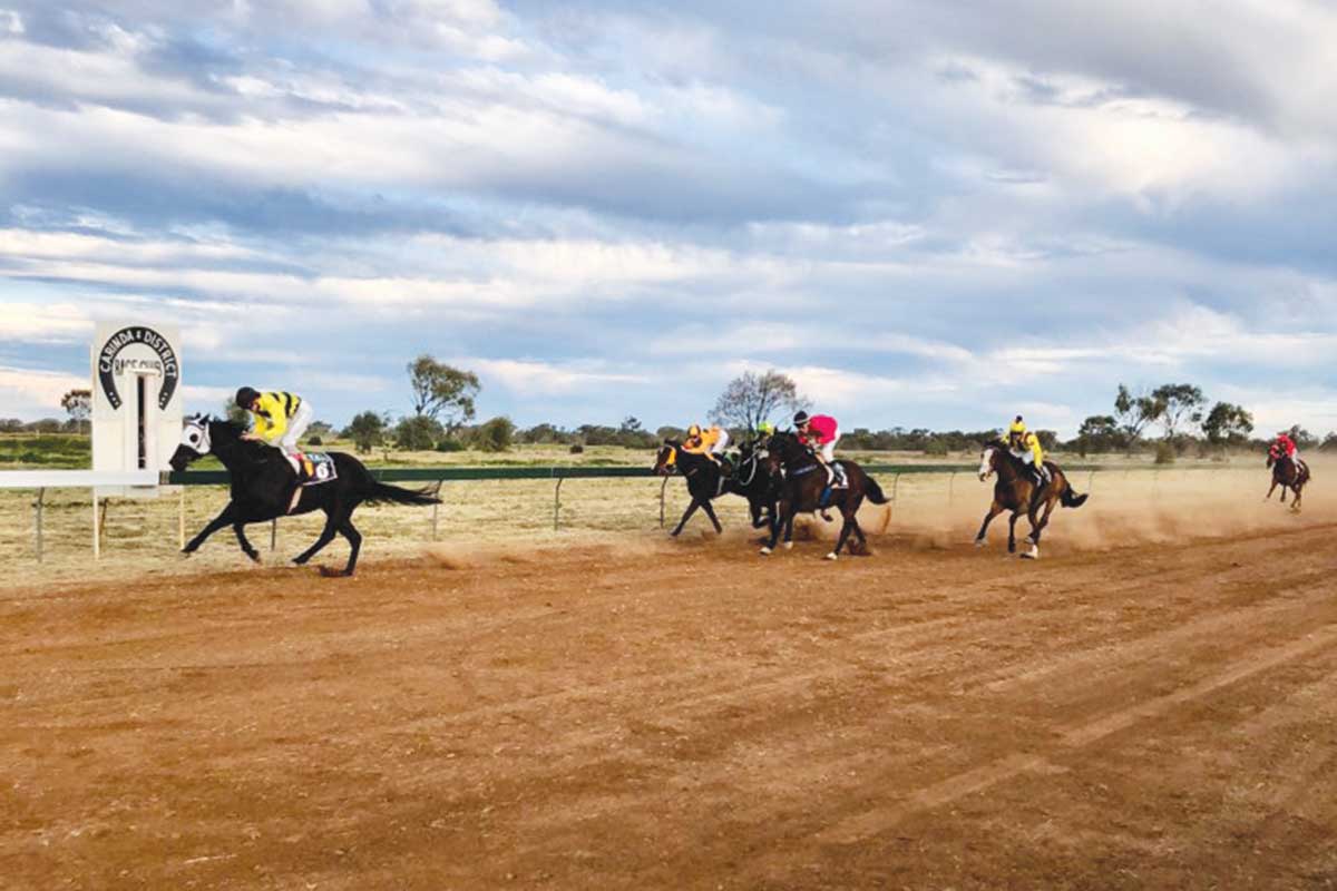 Plectrum wins 2022 Carinda Cup | The Coonamble Times
