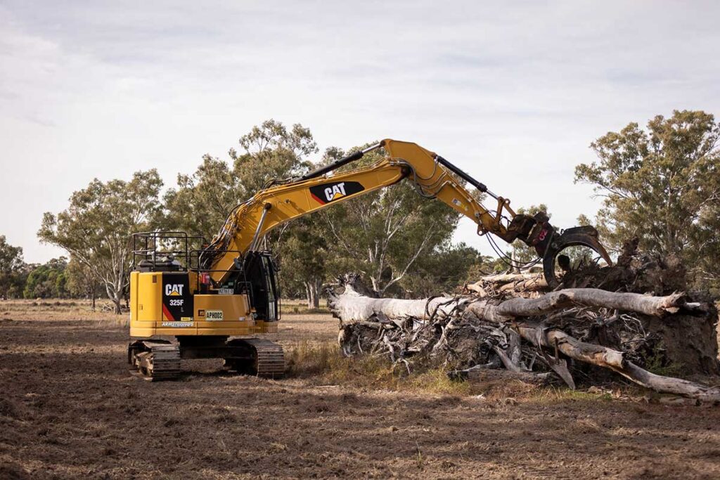 Helping native fish habitats in the Murray-Darling Basin | The ...