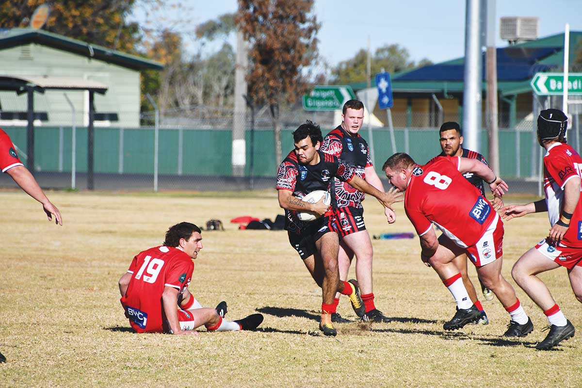 Bears show their capabilities | The Coonamble Times