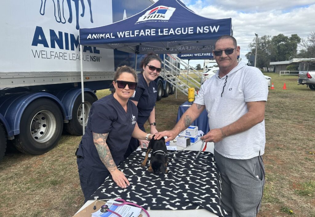 Narromine pets get health checks from AWL mobile vet | The Coonamble Times