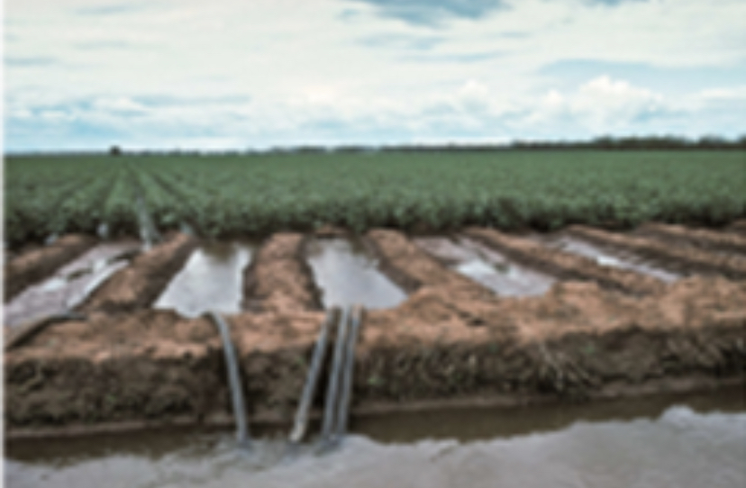 Water buybacks put irrigators on back foot | The Coonamble Times