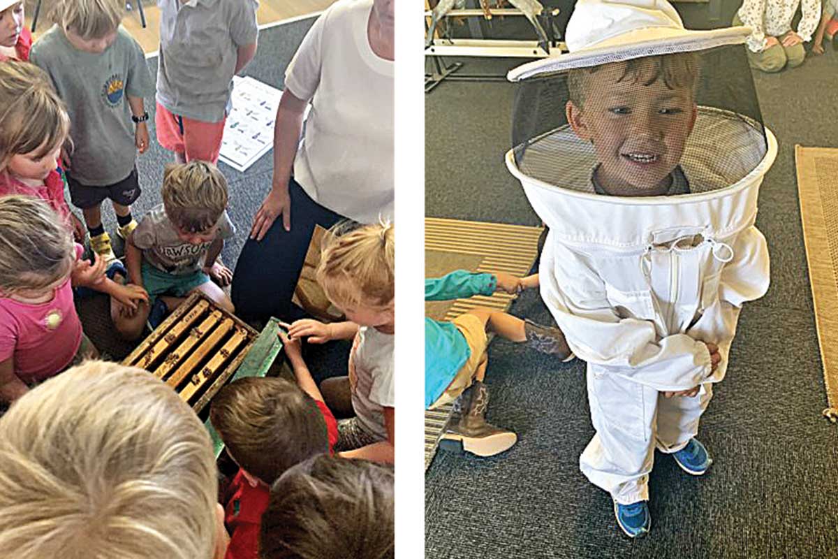 Bees visit Coonamble Pre-school | The Coonamble Times