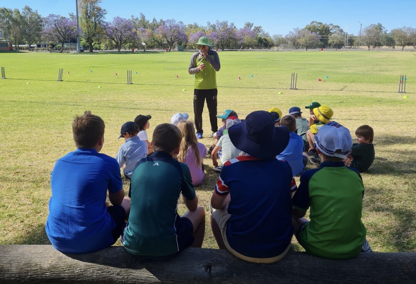Parent power gets Warren junior cricket back up and running | The ...