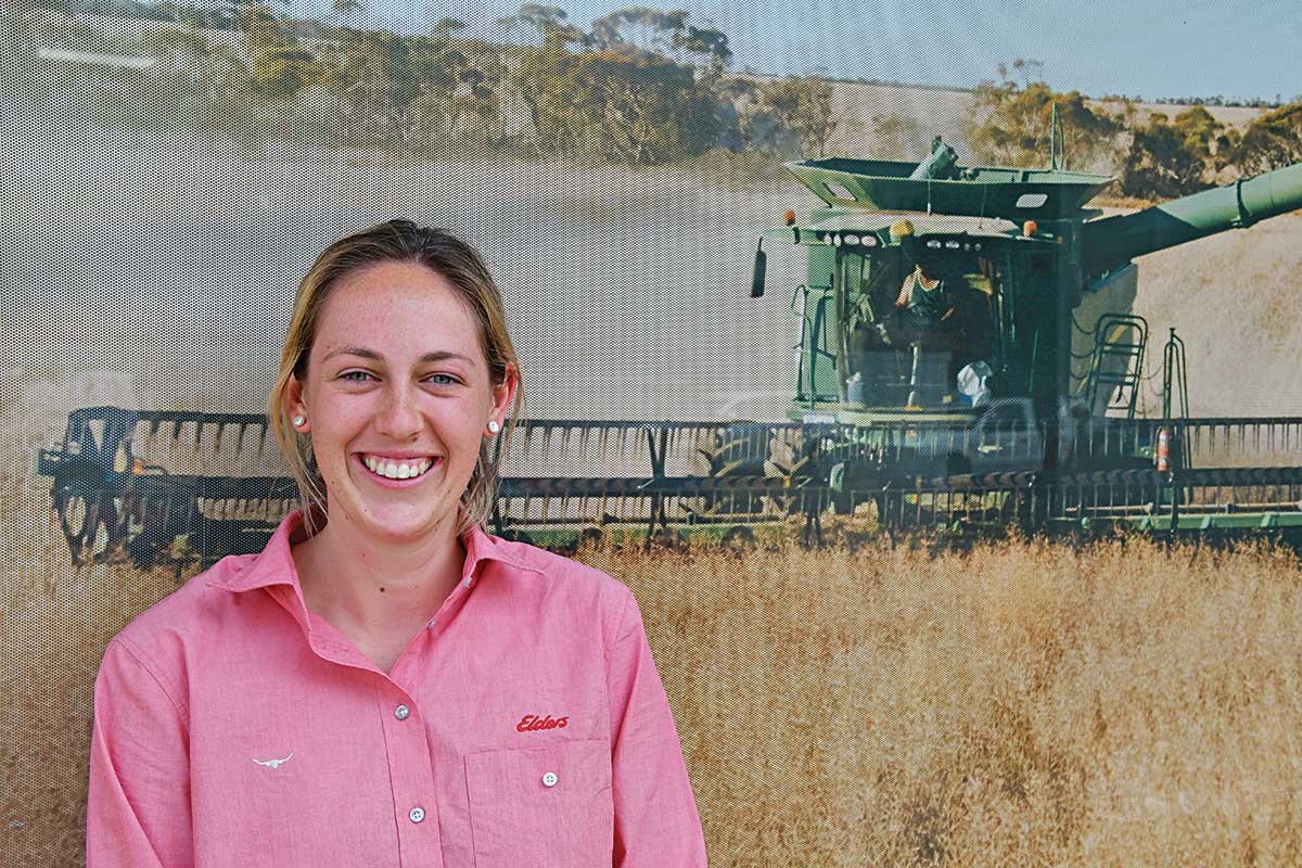 Elders Coonamble take on Tilly | The Coonamble Times