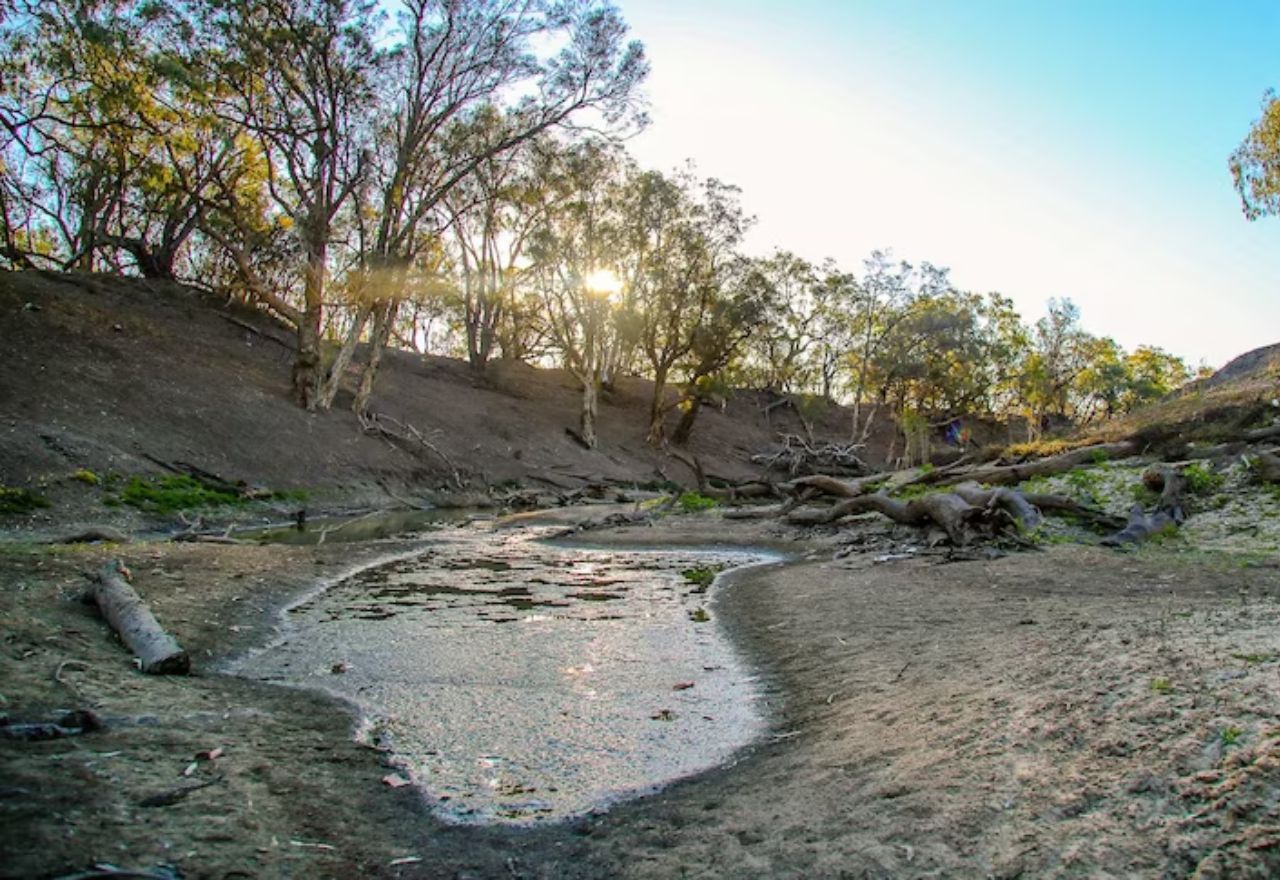 New resolution to be re-considered: "We don't want faceless bureaucrats ...