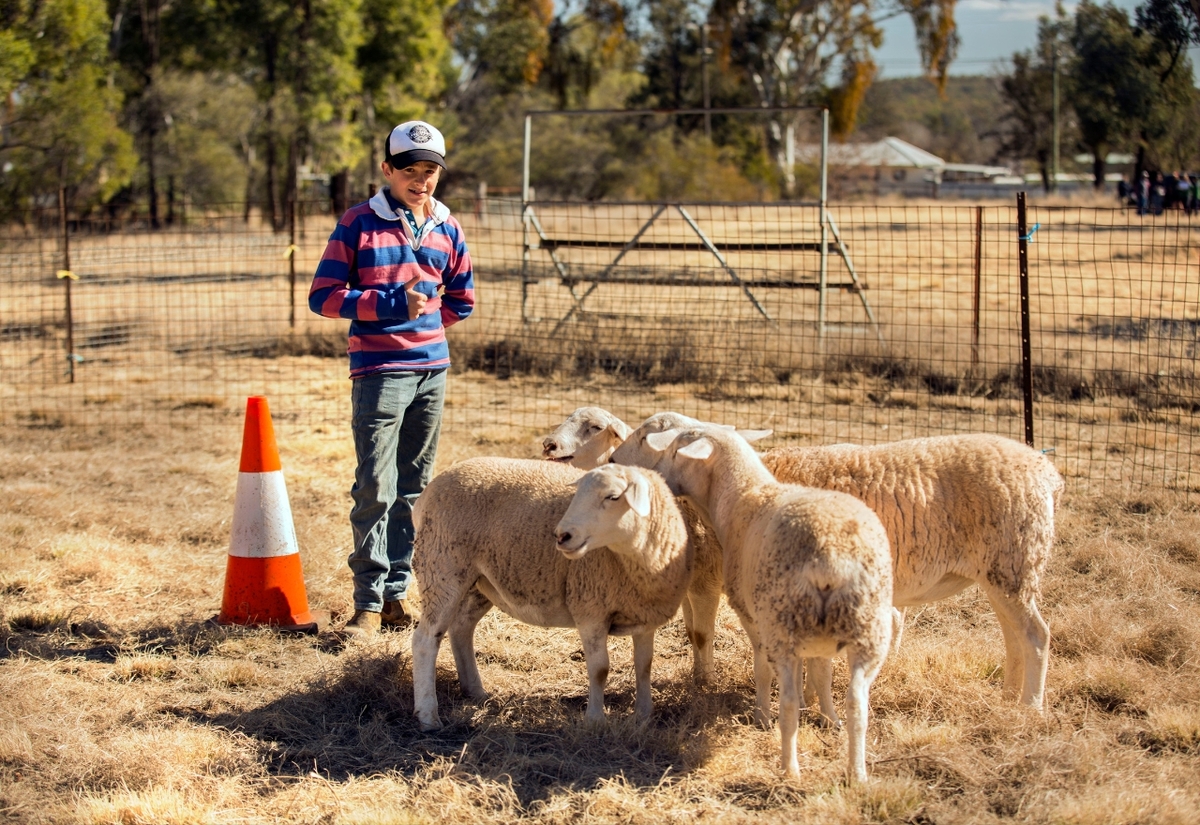 Coona High awarded for agriculture training | The Coonamble Times