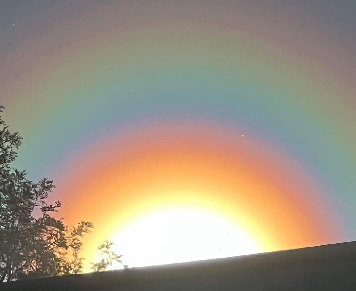 Pollen corona stops locals in their tracks | The Coonamble Times