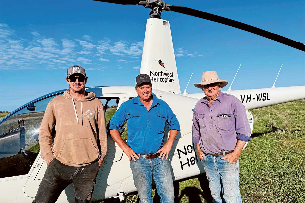Locals take a stand on pigs | The Coonamble Times