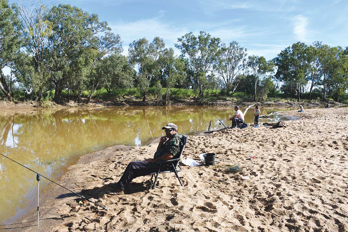 Native fish gone missing from the Castlereagh | The Coonamble Times