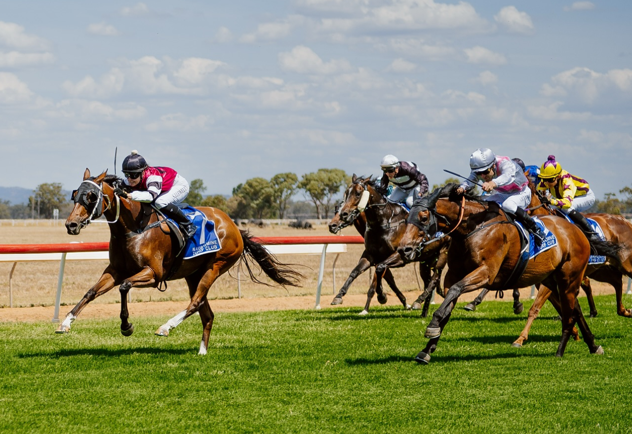 Big day for Clayton Gallagher at Narromine | The Coonamble Times