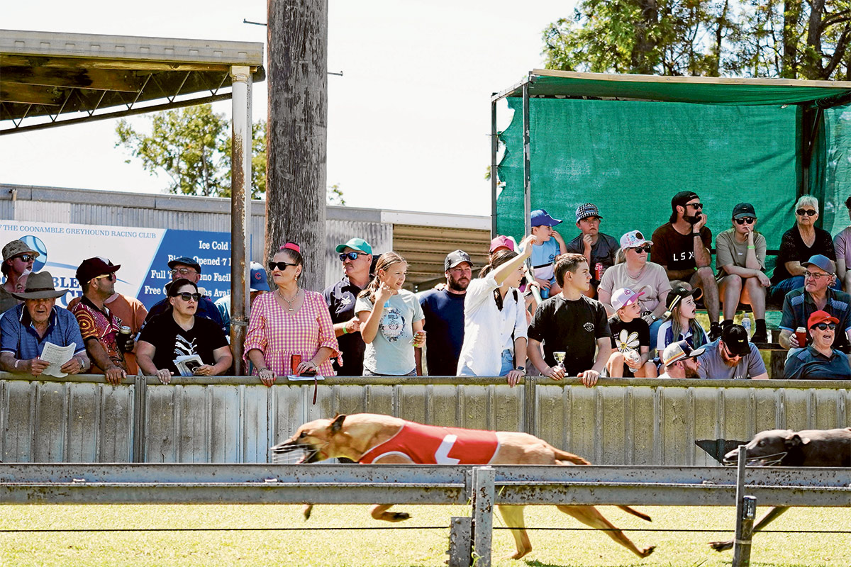 Butler calls for Inquiry into GRNSW - but will it be too late for ...