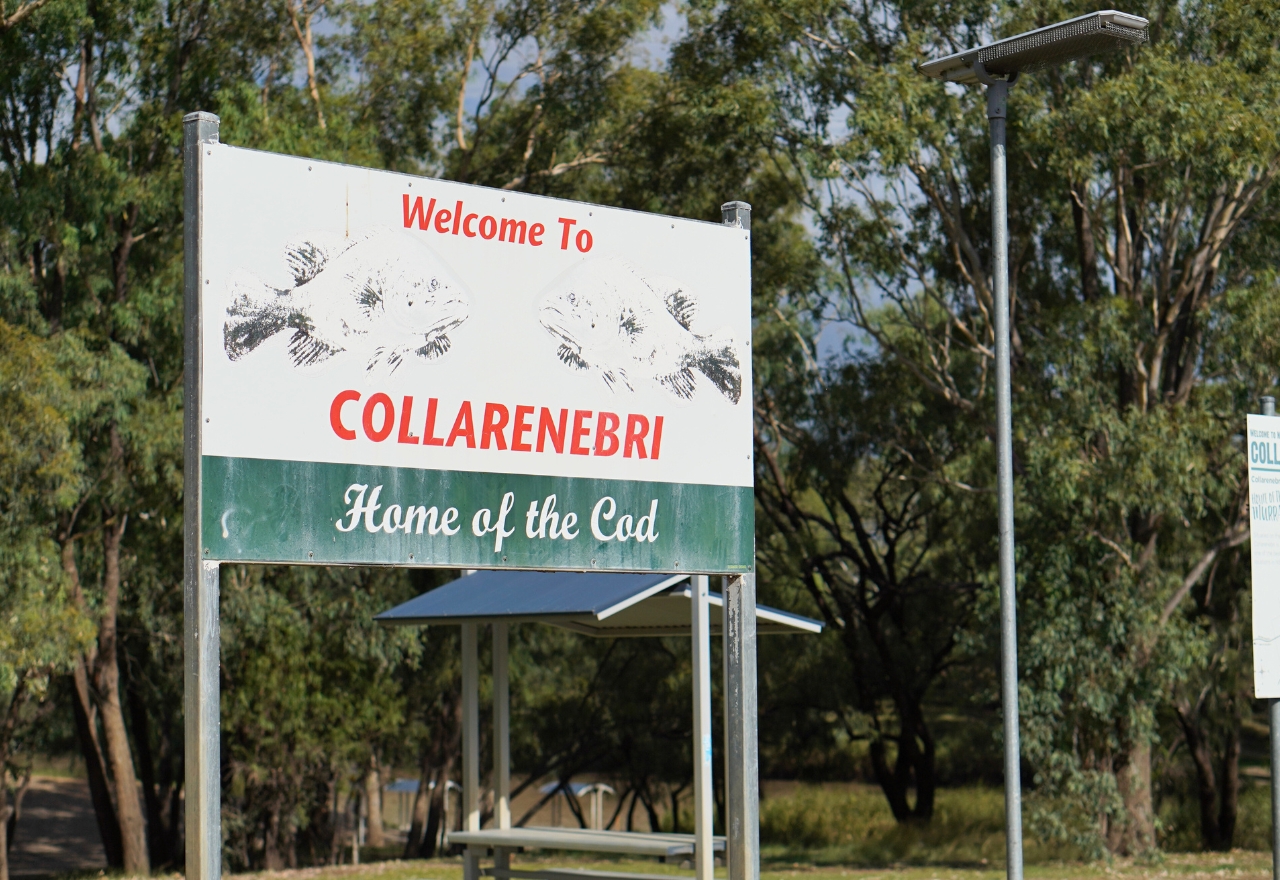 Two arrested in Collarenebri following alleged elder assault | The ...